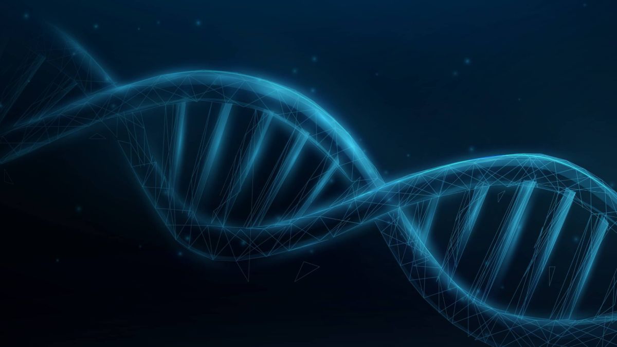 Tiny but smart – What are nanoparticles? | Dirnano